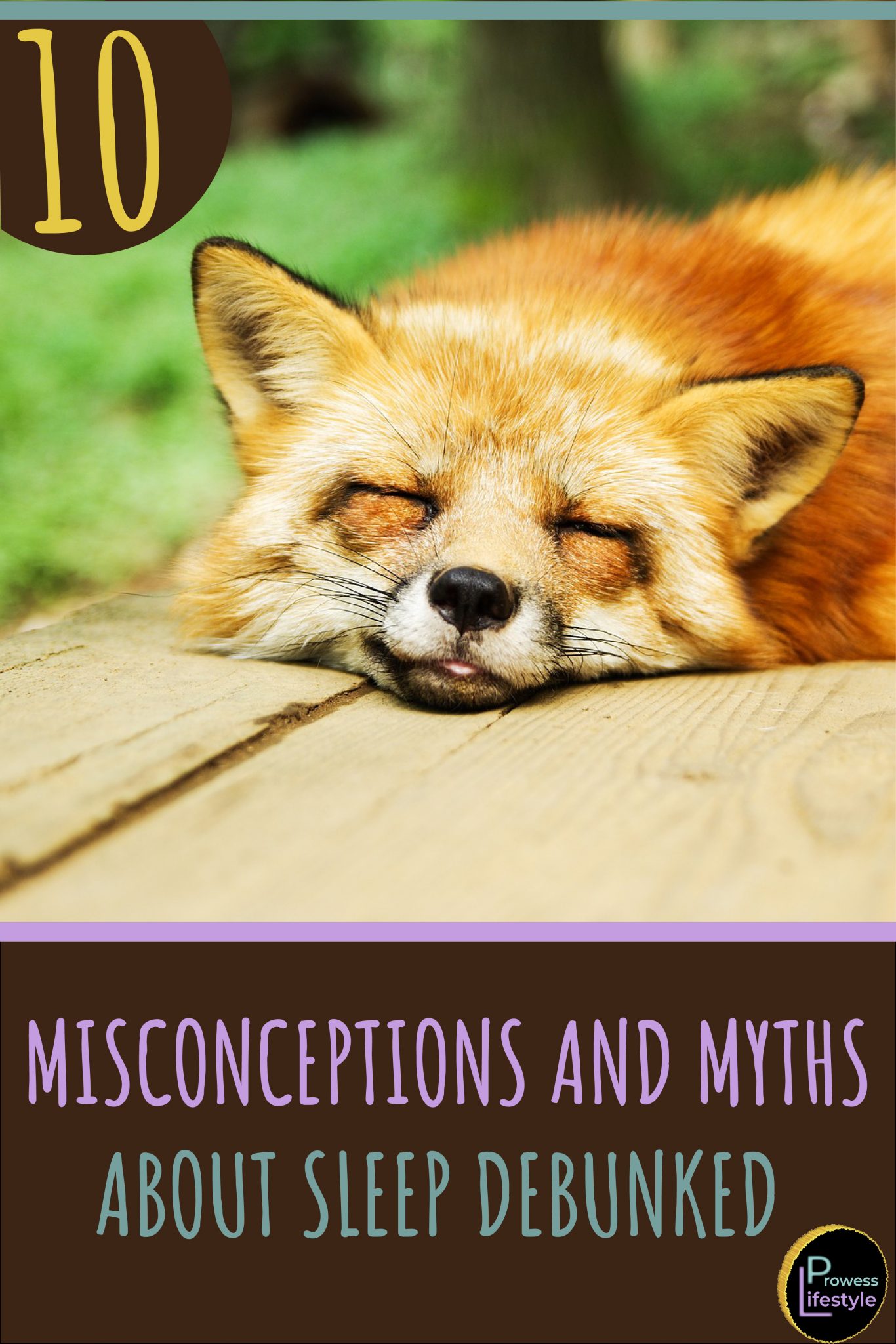 10 Misconceptions and Myths About Sleep Debunked - Lifestyle Prowess