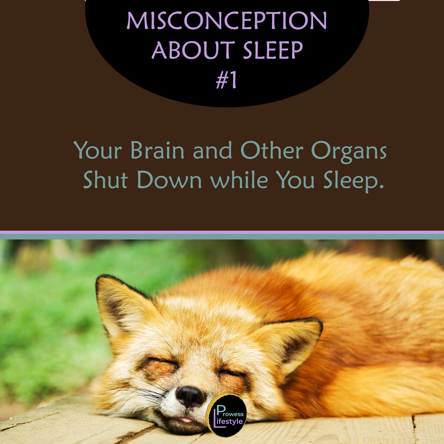 10 Misconceptions and Myths About Sleep Debunked - Lifestyle Prowess