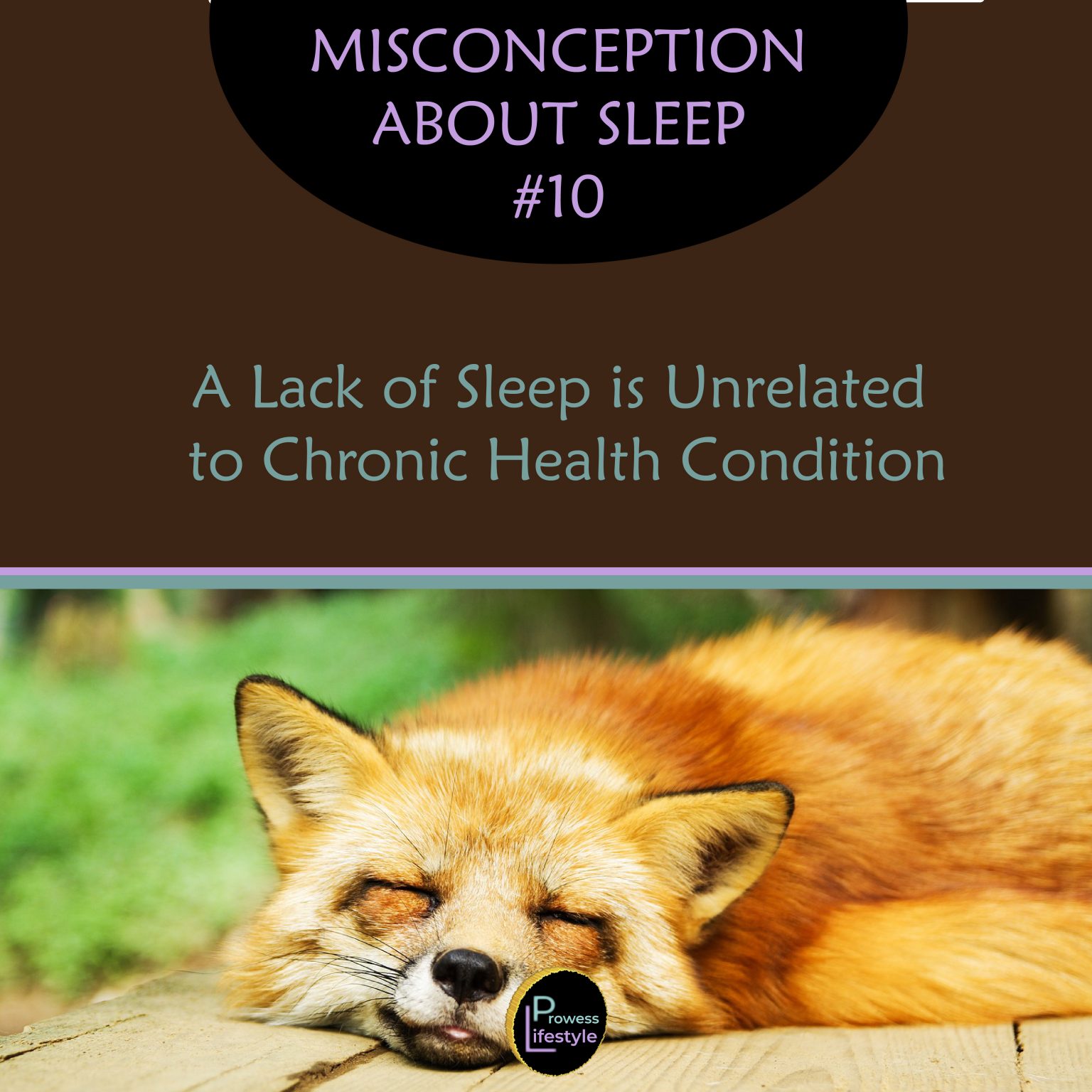 10 Misconceptions and Myths About Sleep Debunked - Lifestyle Prowess